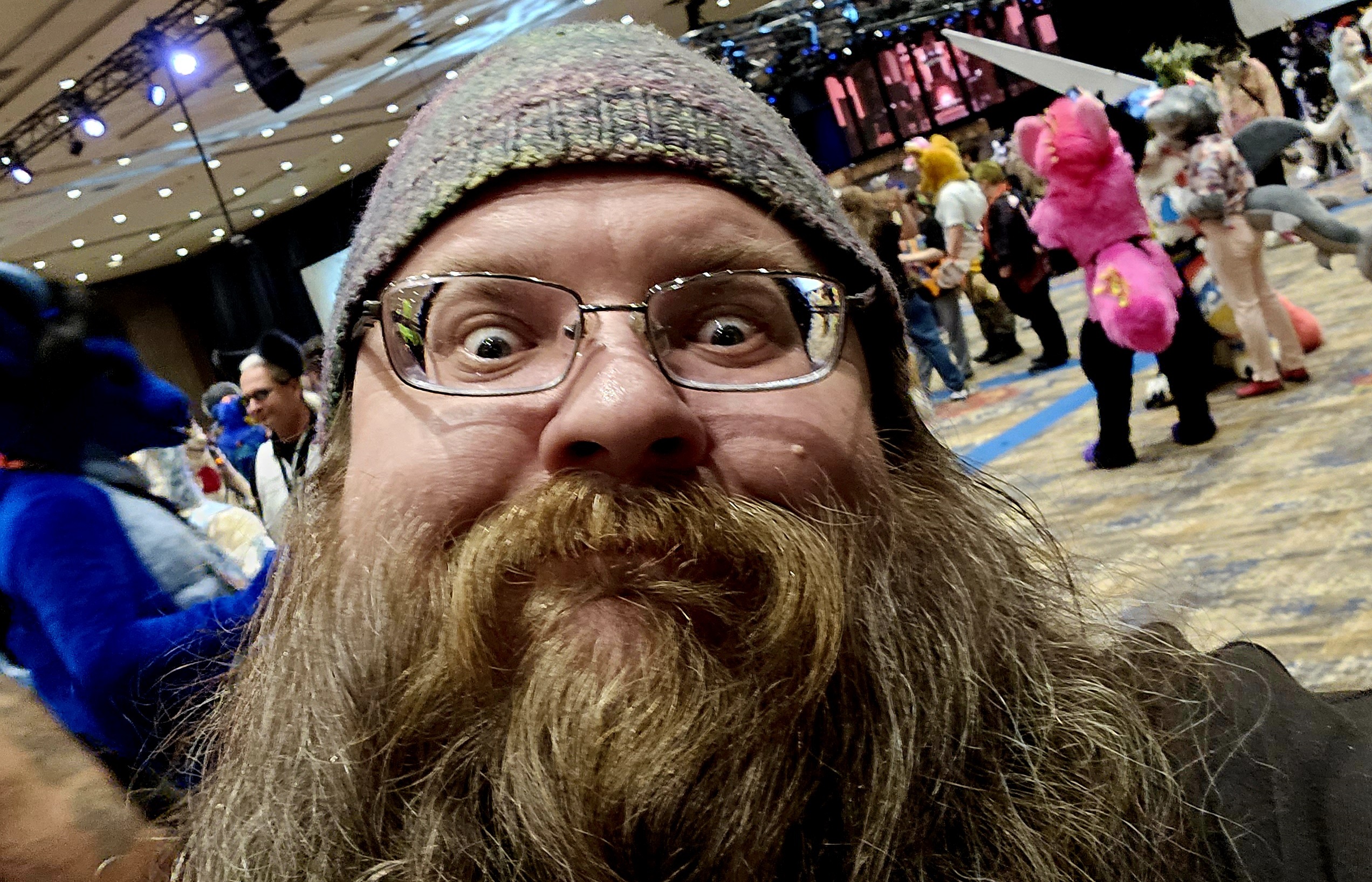 Biggest Little Fur Con - Baelnorn